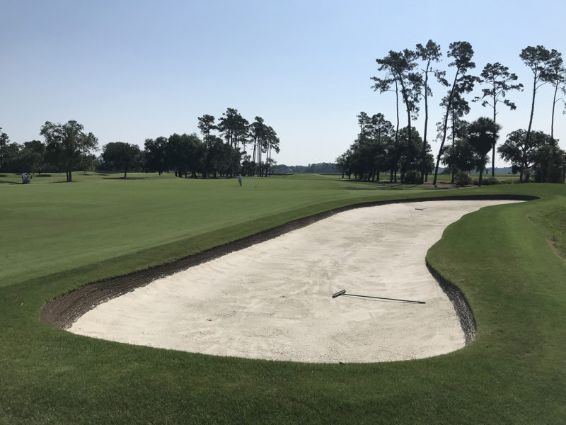 Secession Golf Club – South Carolina – EcoBunker