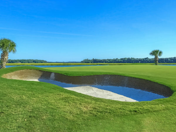 Secession Golf Club – South Carolina – EcoBunker